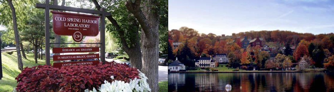 Cold Spring Harbor Lab